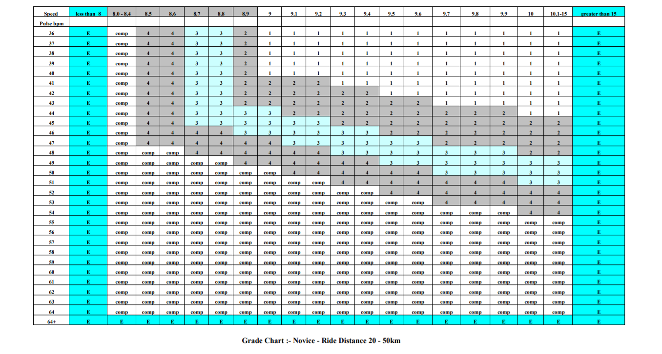 Endurance Results Explained – Beth Endurance